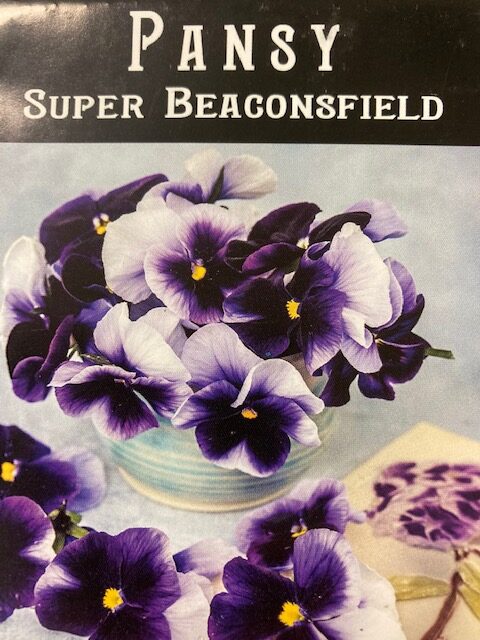 Pansy - excelatgardening.com