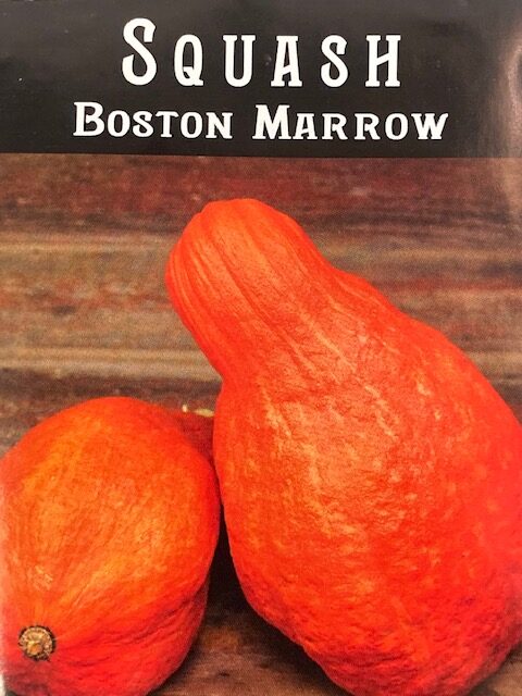 Winter Squash - excelatgardening.com