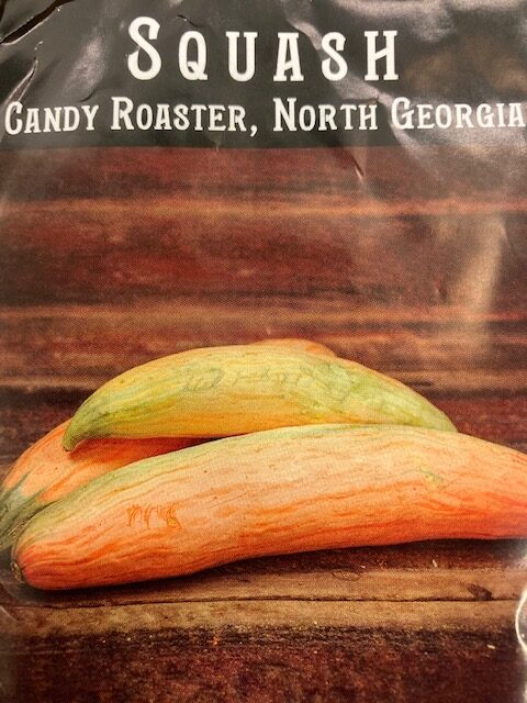Winter Squash - excelatgardening.com