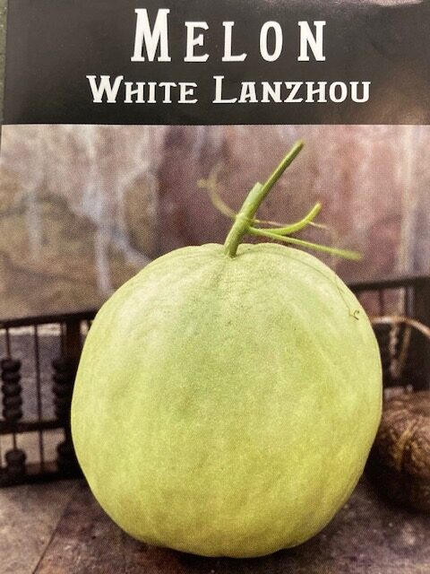 Melon - excelatgardening.com
