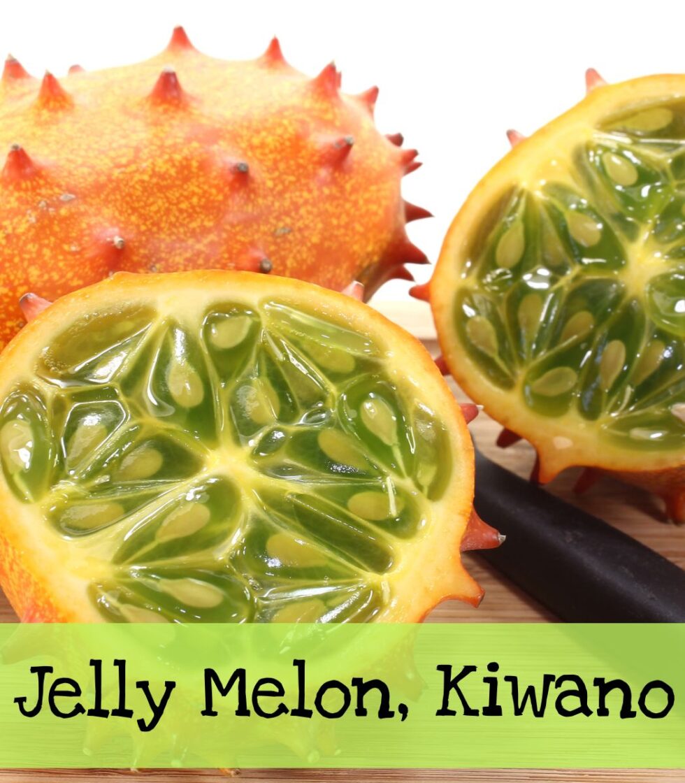 Jelly Melon, Kiwano - excelatgardening.com