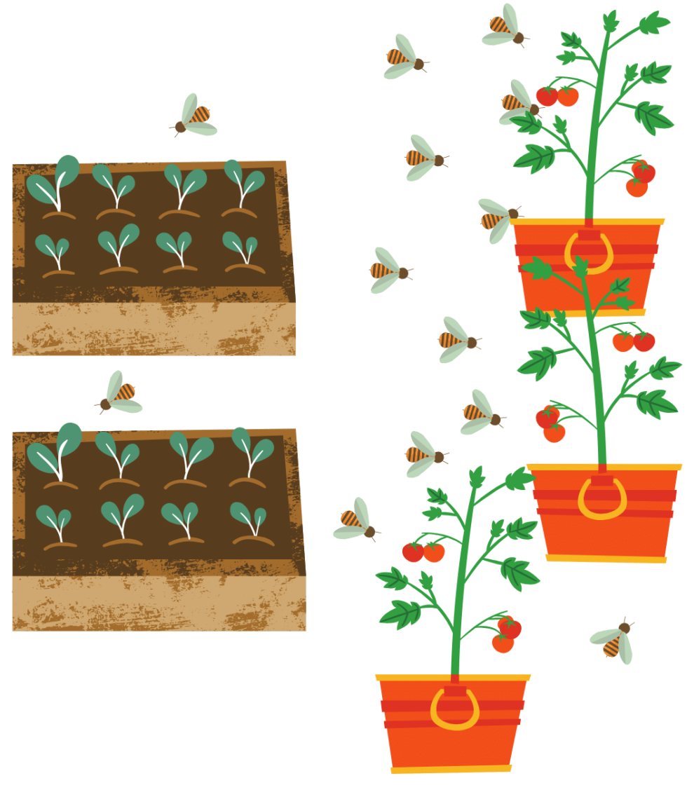 Trap Cropping - excelatgardening.com