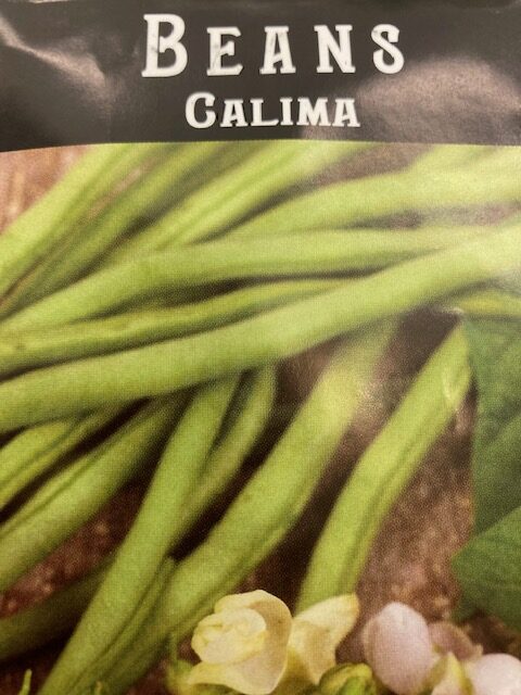 Bean - excelatgardening.com