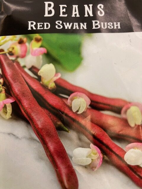 Bean - excelatgardening.com