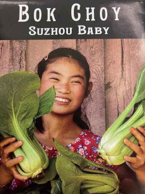 Bok Choy - excelatgardening.com