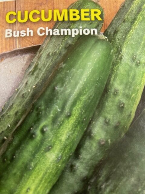 Cucumber - excelatgardening.com