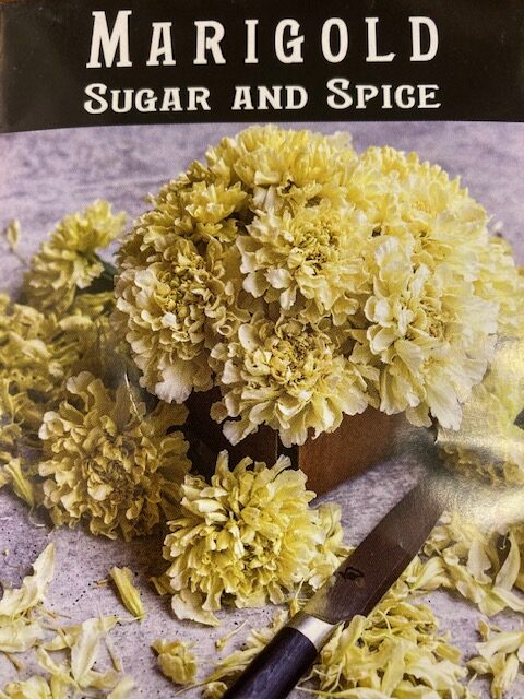 Marigold - excelatgardening.com