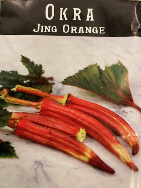 Okra - excelatgardening.com